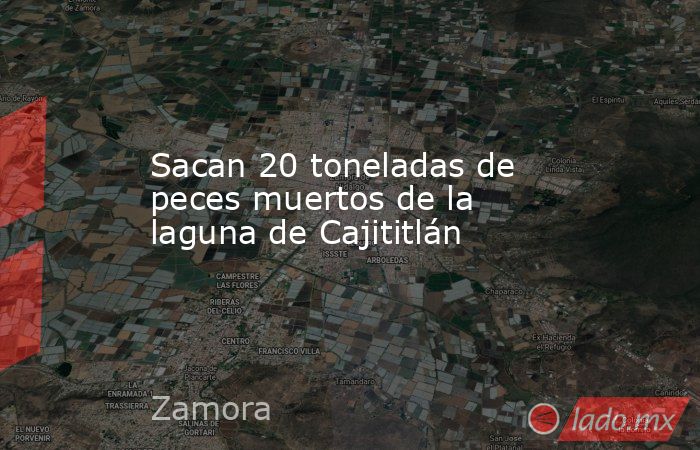Sacan 20 toneladas de peces muertos de la laguna de Cajititlán - Lado.mx