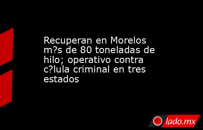 Recuperan en Morelos m?s de 80 toneladas de hilo; operativo contra c?lula criminal en tres ...