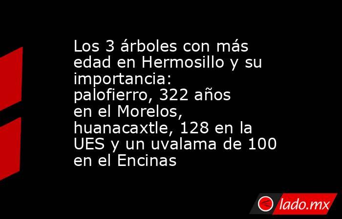 Los 3 árboles con más edad en Hermosillo y su importancia: palofierro ...