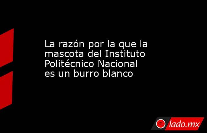 La razón por la que la mascota del Instituto Politécnico Nacional es un ...