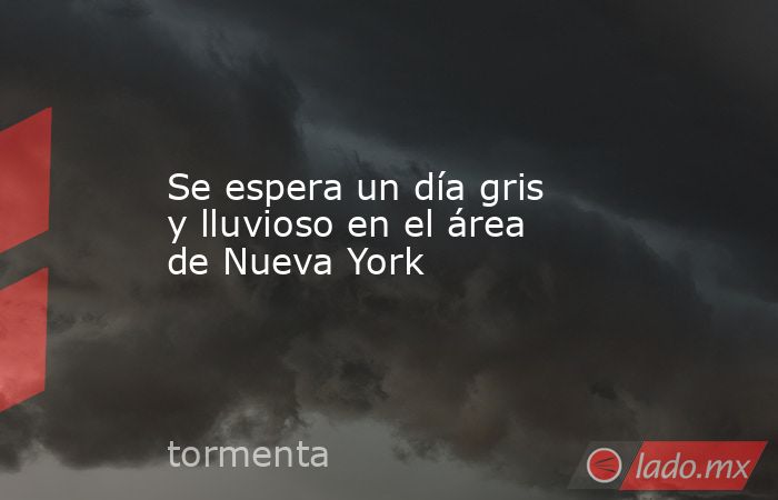 Se espera un día gris y lluvioso en el área de Nueva York - Lado.mx
