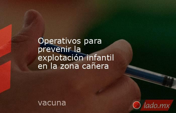 Operativos para prevenir la explotación infantil en la zona cañera ...