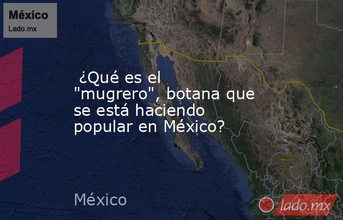 ¿Qué es el "mugrero", botana que se está haciendo popular en México ...
