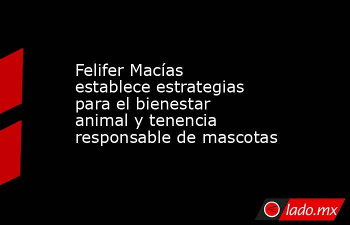 Felifer Macías establece estrategias para el bienestar animal y ...