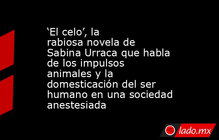 ‘El celo’, la rabiosa novela de Sabina Urraca que habla de los impulsos ...