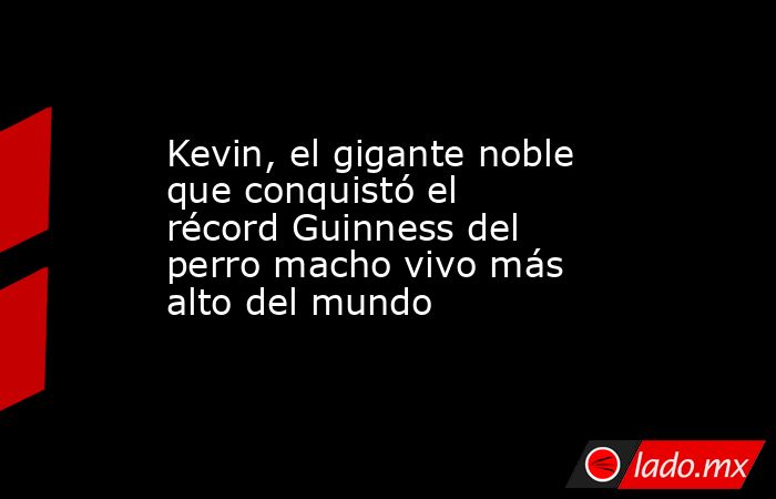 Kevin, el gigante noble que conquistó el récord Guinness del perro ...