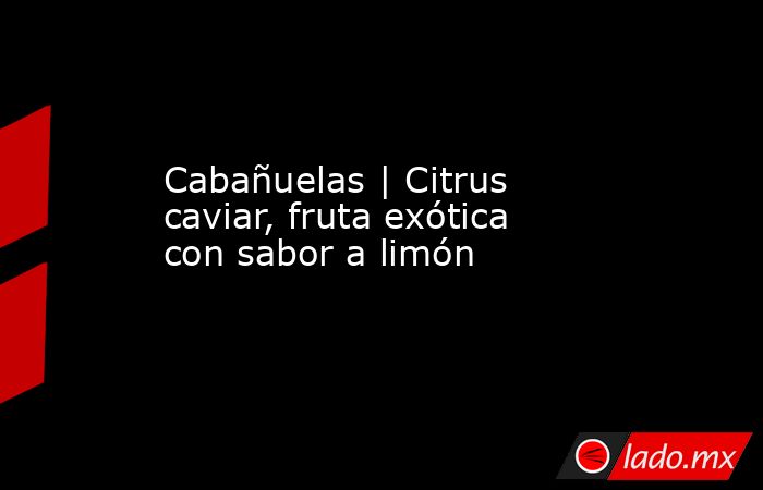 Cabañuelas | Citrus caviar, fruta exótica con sabor a limón - Lado.mx
