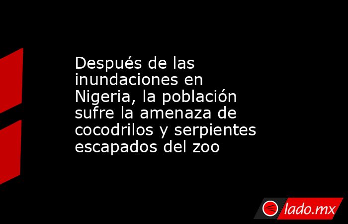 Después de las inundaciones en Nigeria, la población sufre la amenaza ...