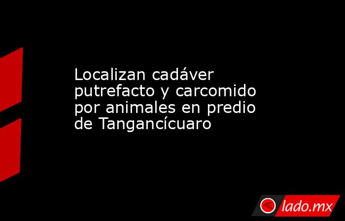 Localizan cadáver putrefacto y carcomido por animales en predio de ...