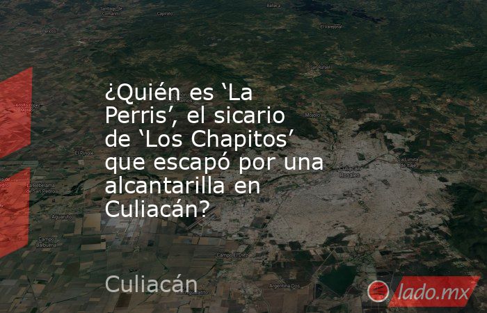 ¿Quién es ‘La Perris’, el sicario de ‘Los Chapitos’ que escapó por una ...