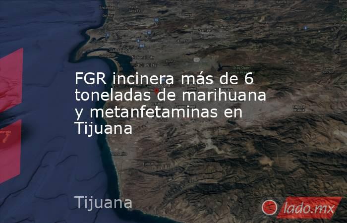 FGR incinera más de 6 toneladas de marihuana y metanfetaminas en ...