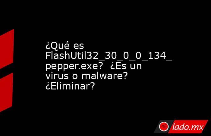 ¿Qué es FlashUtil32_30_0_0_134_pepper.exe? ¿Es un virus o malware ...