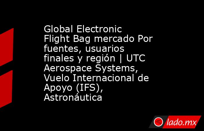 Global Electronic Flight Bag mercado Por fuentes, usuarios finales y ...